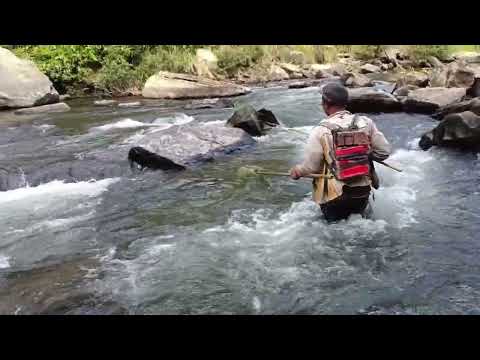 Electirct fishing at suar