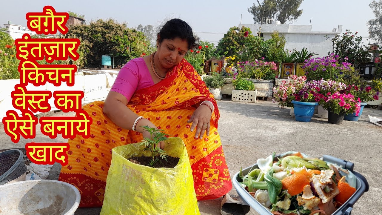 Kitchen waste fertilizer - YouTube