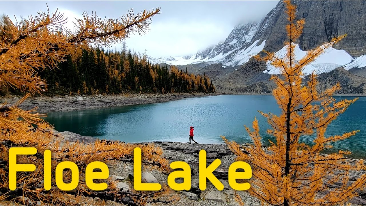 Floe Lake Trail Hike [How to get to Floe Lake] Kootenay National Park ...