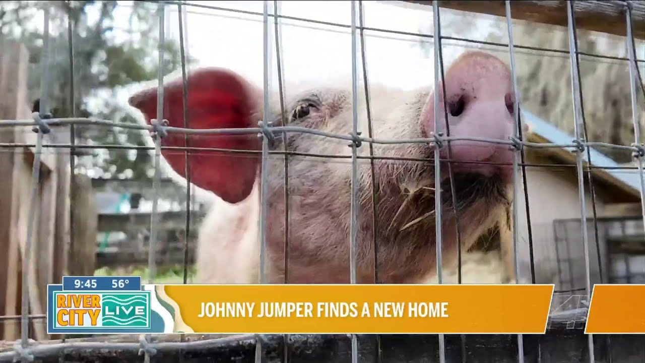 Johnny Jumper leaps to freedom, landing at EPIC outreach - YouTube