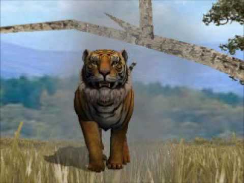 Documental de felinos cazando 2016 CFE©2012 2016 - YouTube