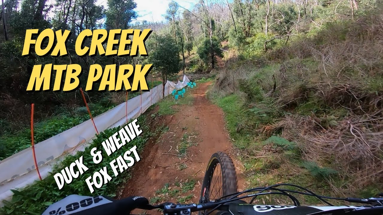 FOX Creek MTB Park - Duck & Weave onto Fox Fast POV | GreyZone - YouTube