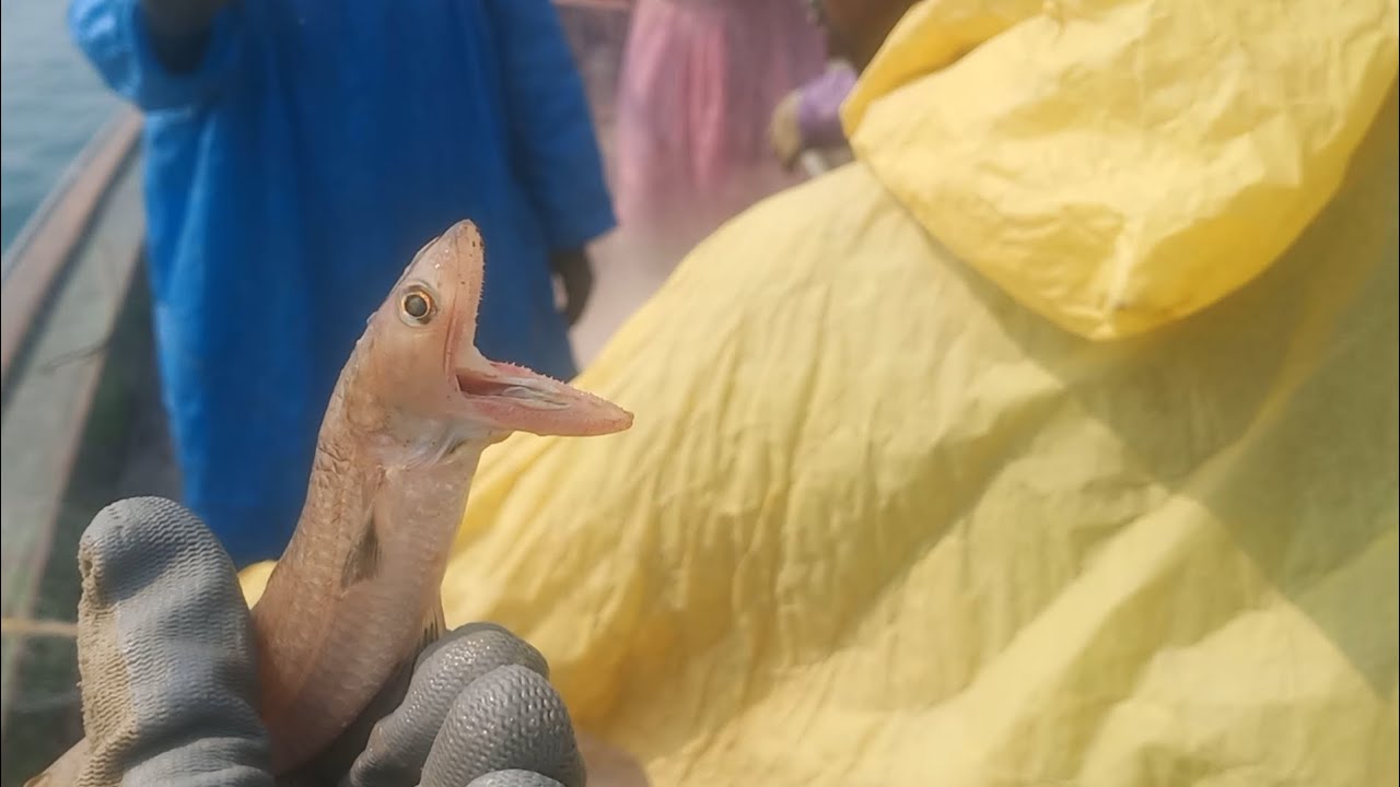 samudra fish catching feelings ocean fishing life - YouTube