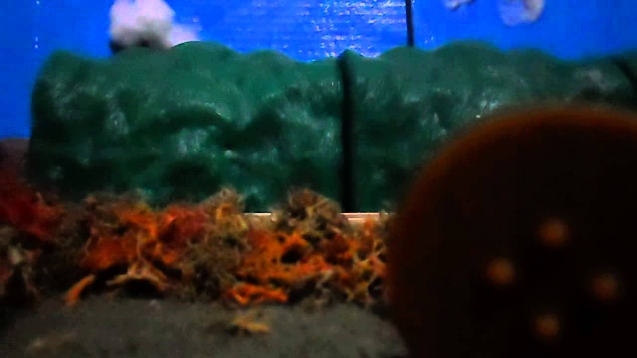 Trainboy55 Production Channel Trailer - YouTube