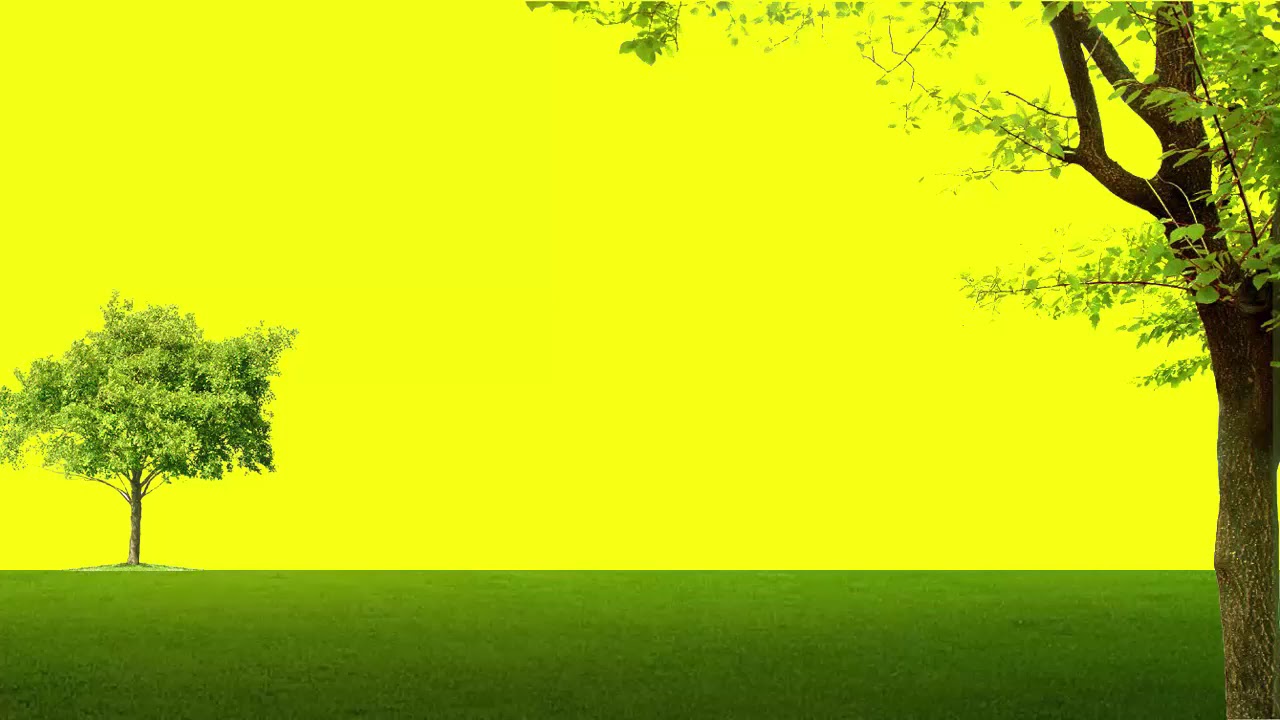 Best nature back ground video no copyright | mix back ground with ...