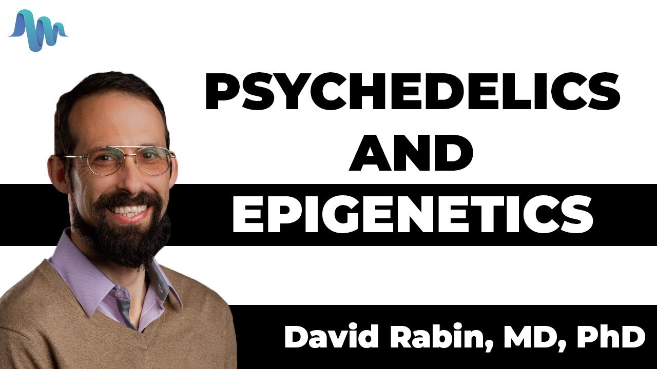 David Rabin, MD, Ph.D. - PSYCHEDELICS AND EPIGENETICS - YouTube