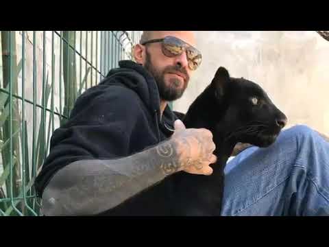 Babo Cartel de Santa y su Pantera Noche - YouTube