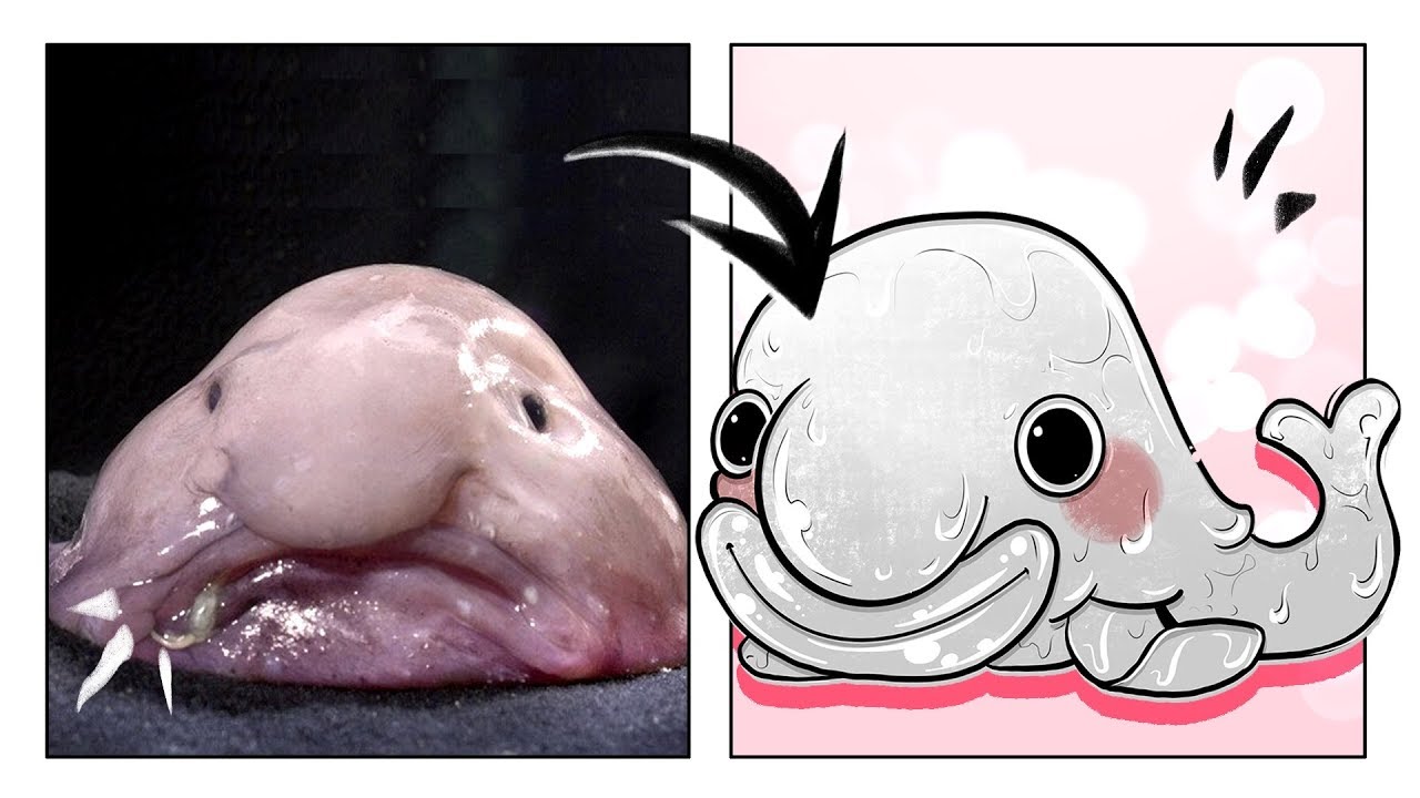 Convierto animales HORRIBLES en dibujos ADORABLES - Kaos - YouTube