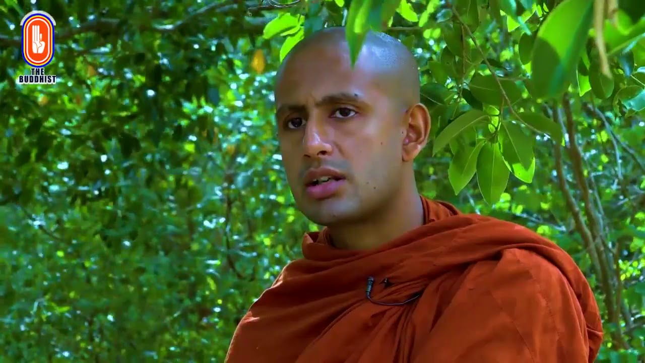 2018-08-01 Wibhajjawada 22 - Kothmale Kumara Kassapa Himi - YouTube