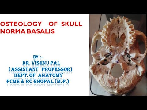 OSTEOLOGY OF SKULL | NORMA BASALIS VIEW | BY DR. VISHNU PAL | Academy ...