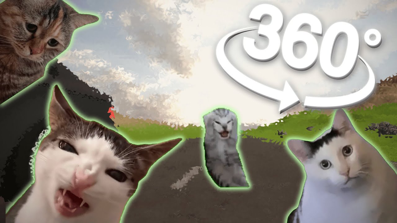 360º VR | ROAD TRIP with the CAT FAMILY MEME | Crunchy, Rizz and Drama ...