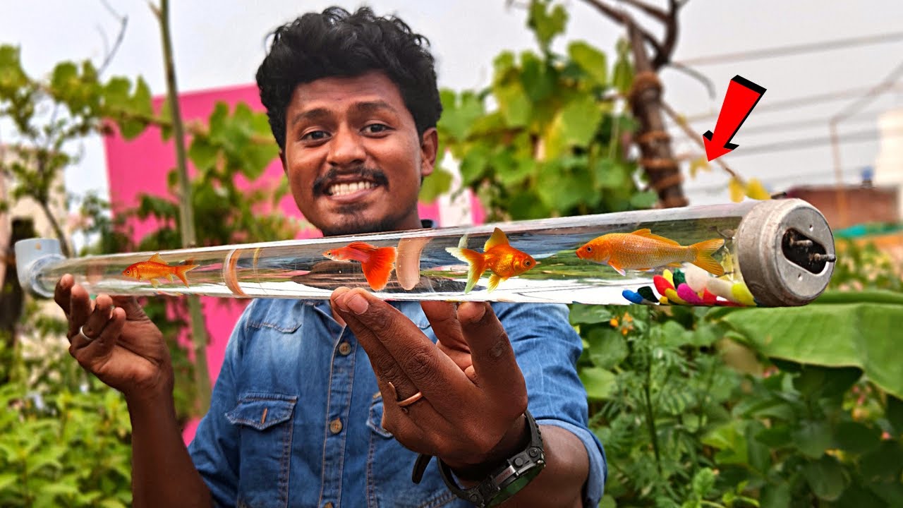 How to Make Fish Tank in TUBE LIGHT 🐠 | செலவே இல்லாமல் மீன் தொட்டி ...