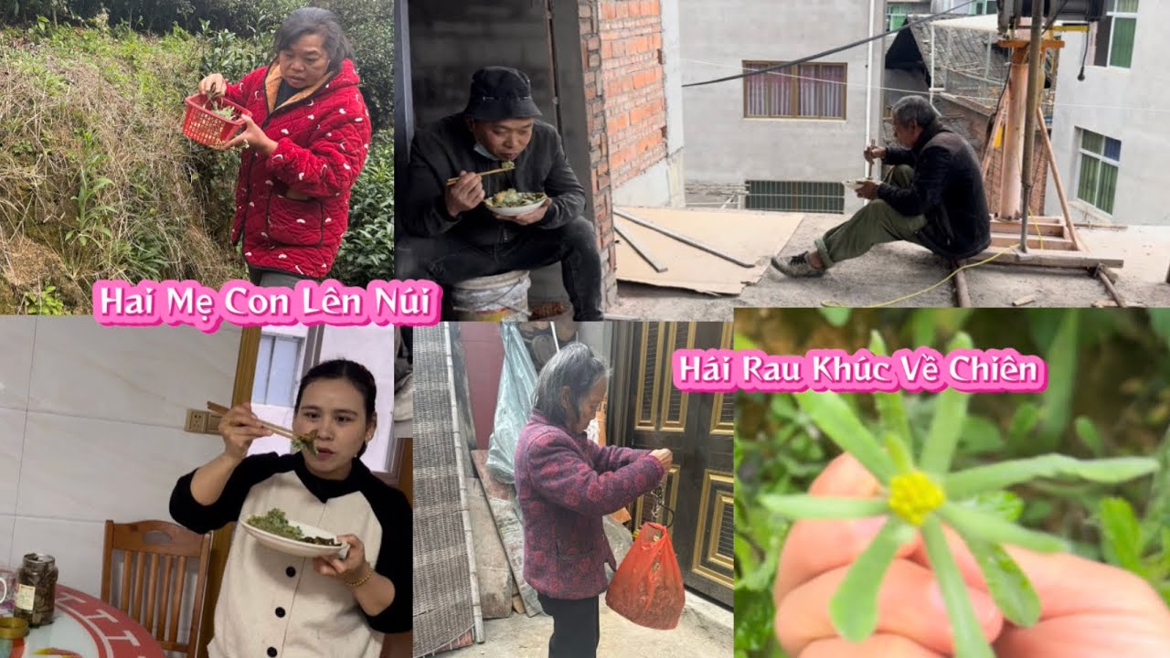 Hai Mẹ Con Lên Núi Hái Rau Khúc Về Chiên _ Ba Với Thợ Bữa Nay Có Món Ăn ...