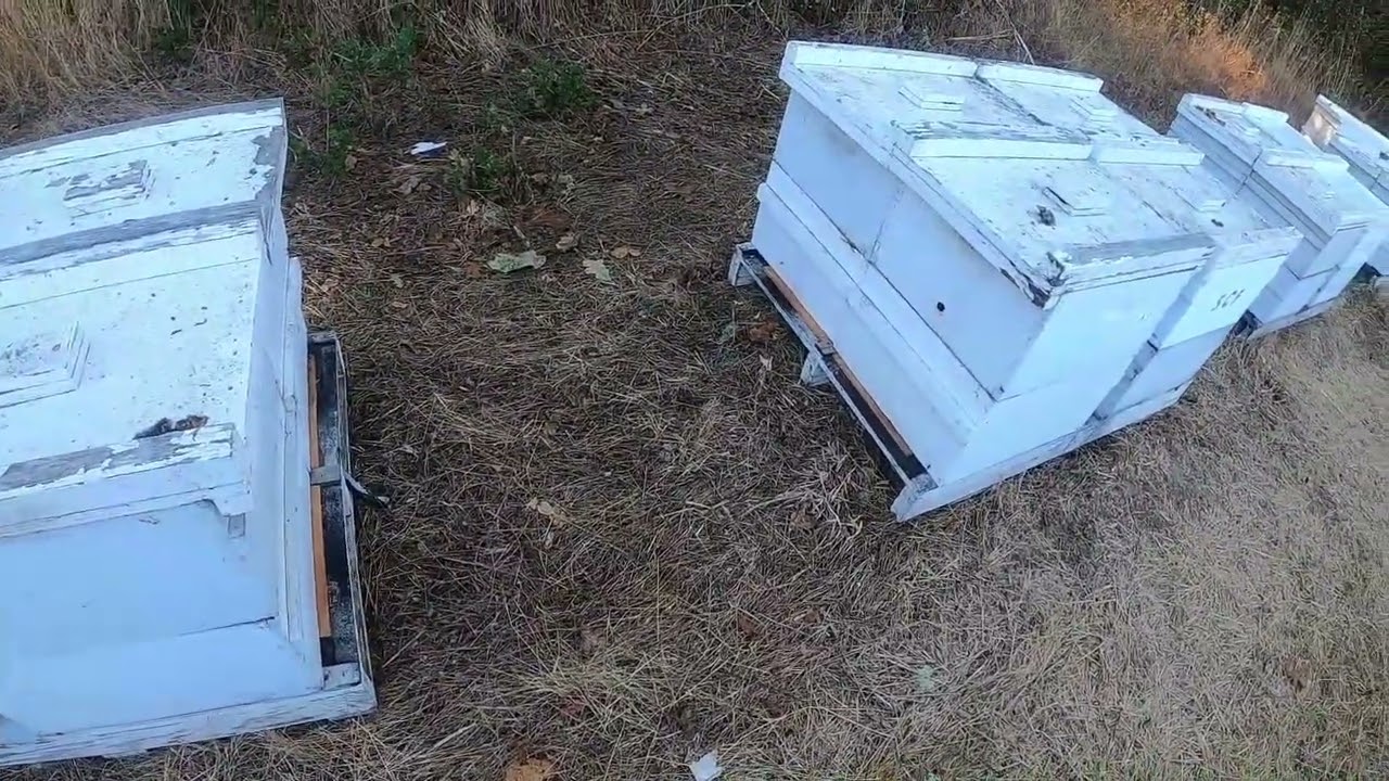 landing board observations - YouTube