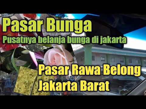 Pasar bunga rawa belong || Pusatnya belanja bunga di jakarta || Pasar ...