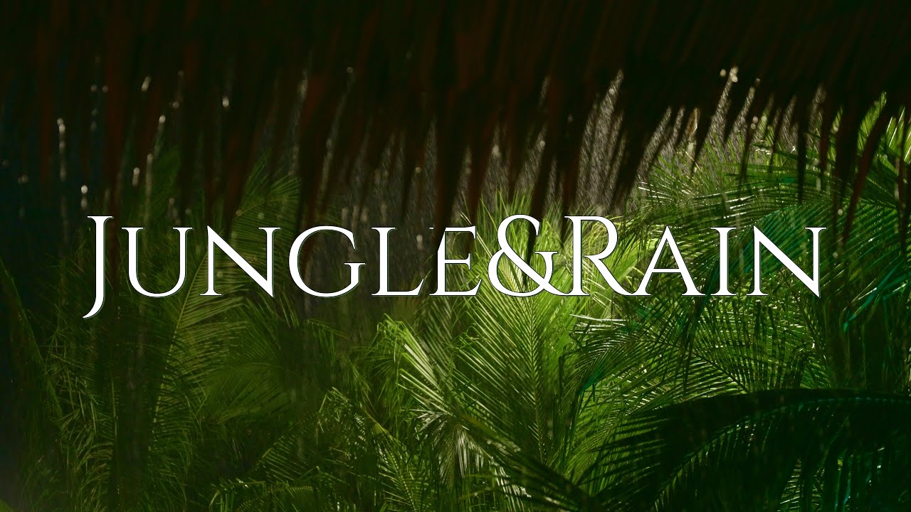 4k Tropical Rainstorm - 3Hours 🌧️ Calming Rain Sounds for Sleeping ...