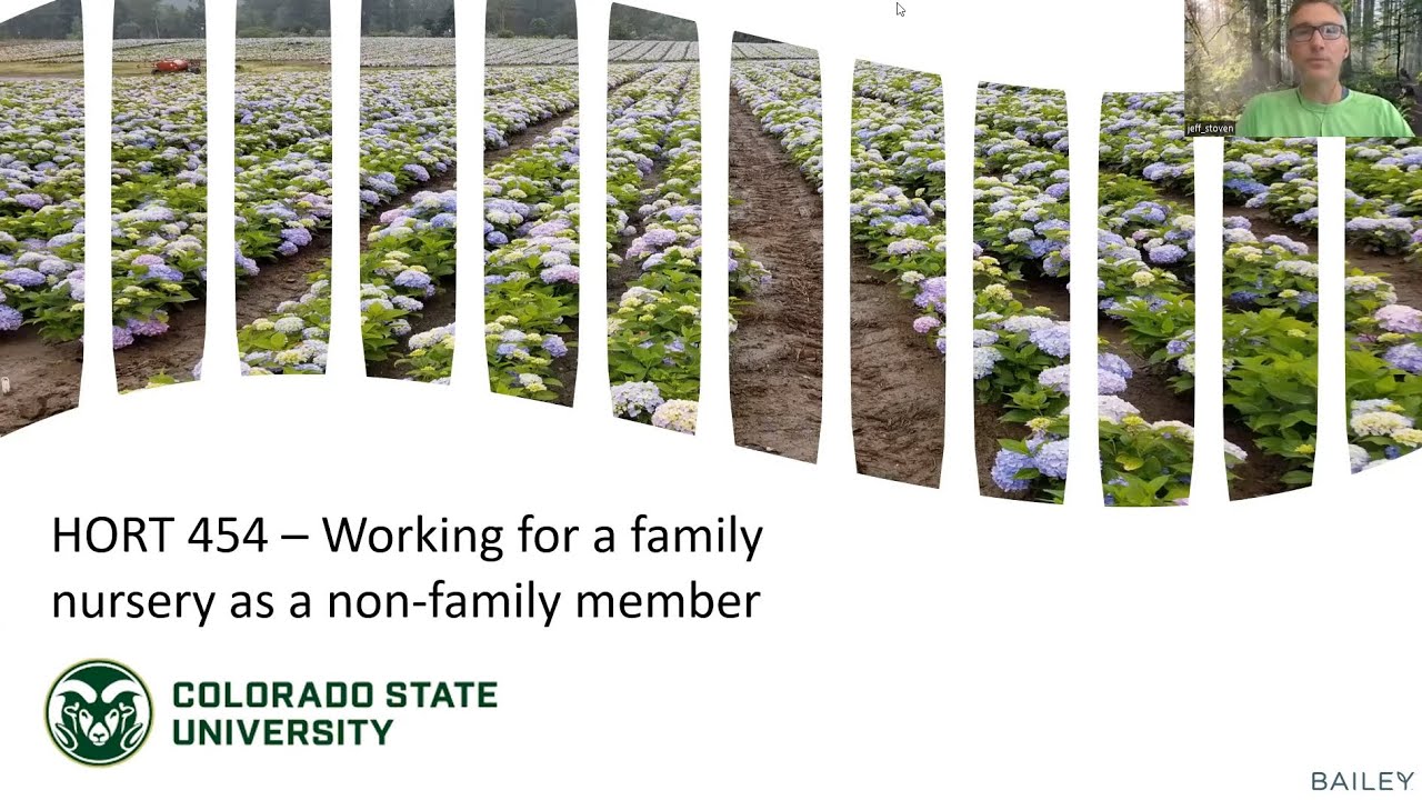Jeff Stoven talks about working for Bailey Nursery. - YouTube