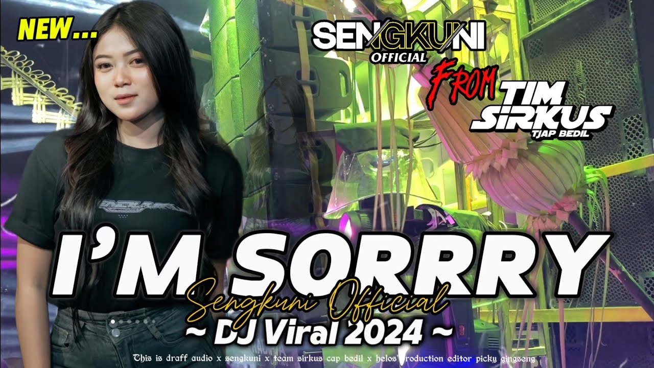 DJ PARTY I'AM SORRY DRAF AUDIO SENGKUNI FT TIM SIRKUS BY HELOS PRO ...