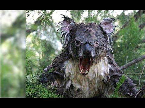 10 Freaky Photos That Will Give You Nightmares - YouTube