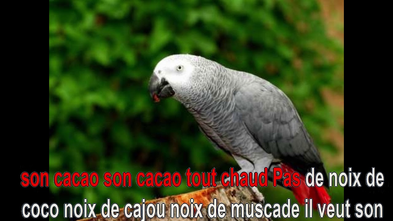 Coco ko - version démo - Paroles et musique Jacques André - YouTube