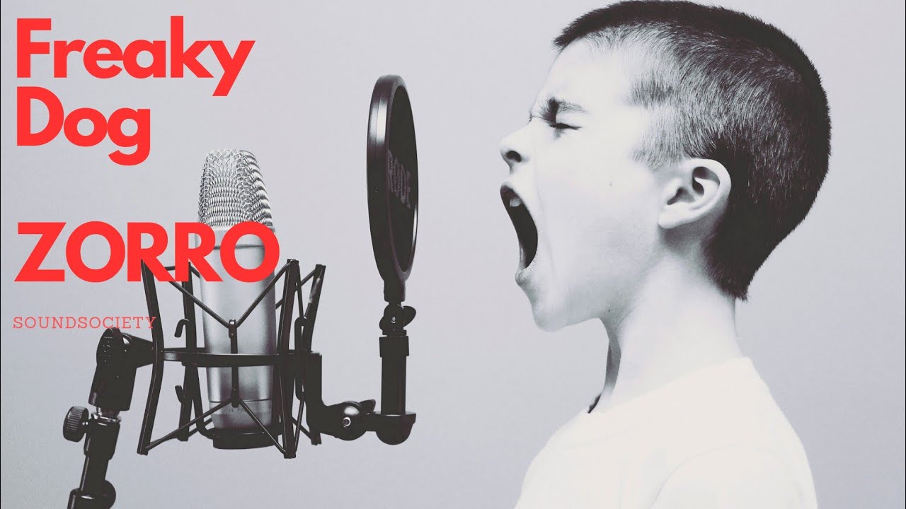 ⭕️ Freaky dog - ZORRO ⭕️ #electronicmusic #dark - YouTube