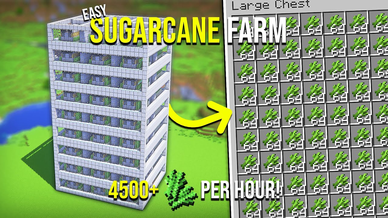 Sugar Cane Farm In Minecraft Bedrock at Colleen Archibald blog