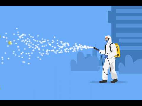 Sanitize | Cleaning service | 2D Animation | Standard Sample videos ...