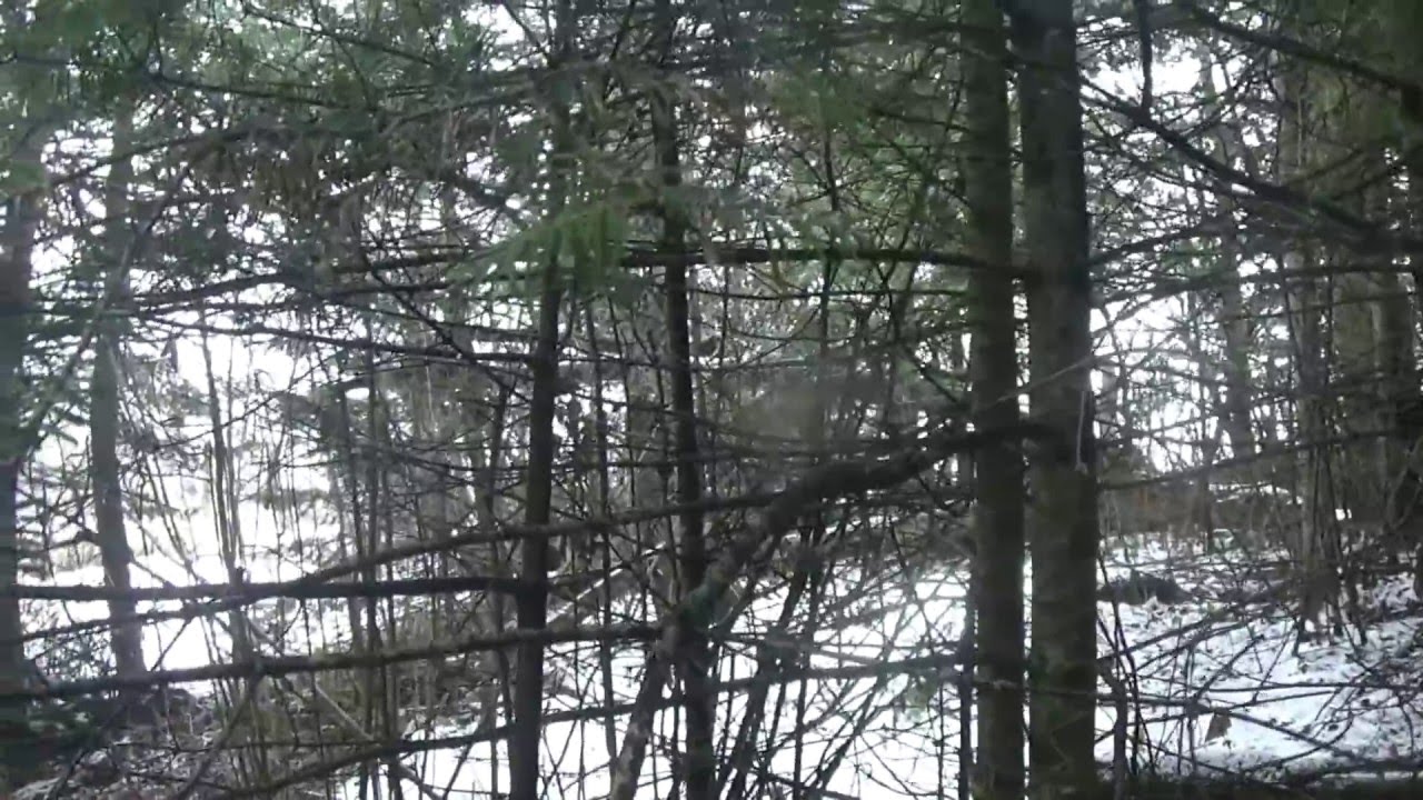 Mantracker (4th Edition) - YouTube