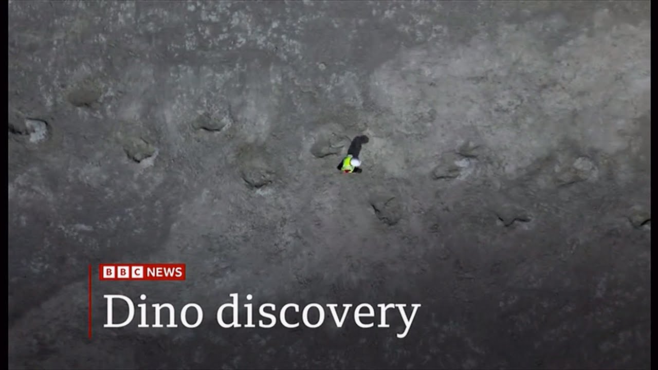 UK's biggest ever dinosaur footprint site unearthed & talk with ...