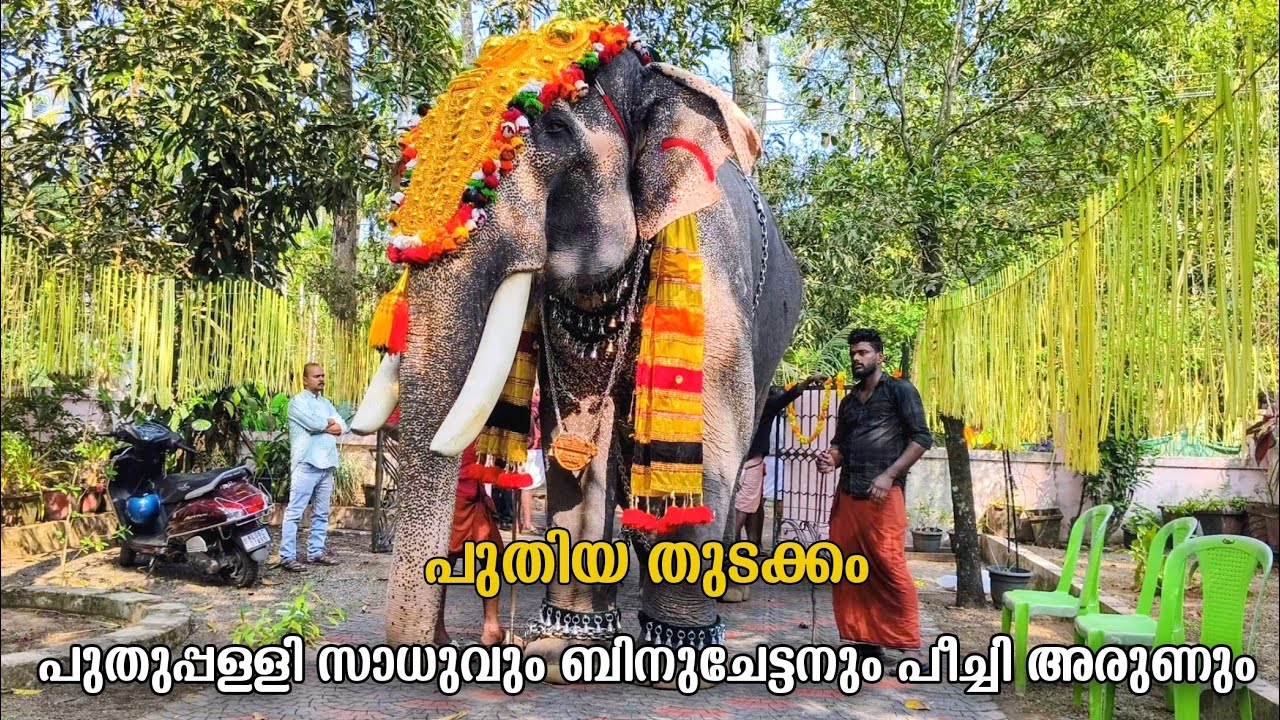 പുതുപ്പള്ളി സാധുവും ബിനുചേട്ടനും പീച്ചി അരുണും 😍🥰 Puthuppally Sadhu ...