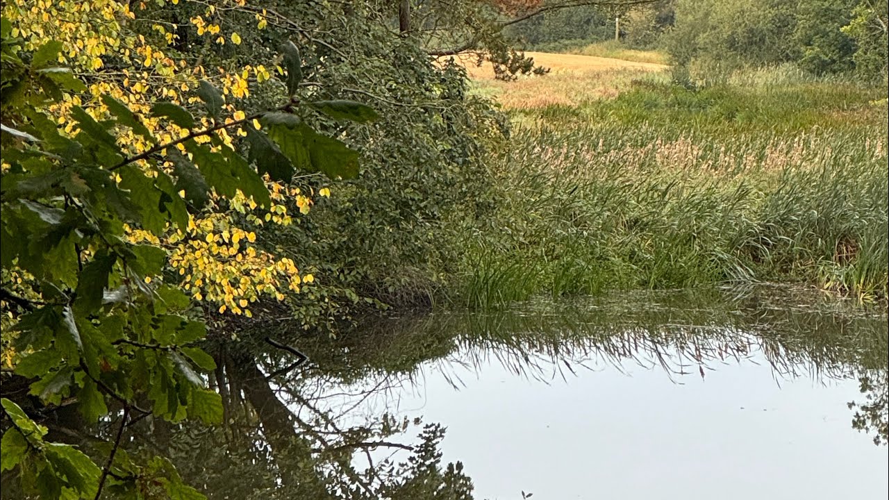 First trip to Throckley Reigh - a tiny little pond in the countryside ...
