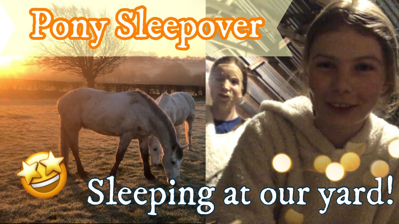 Pony Sleepover ~ Sleeping over at our yard with our horses! - YouTube