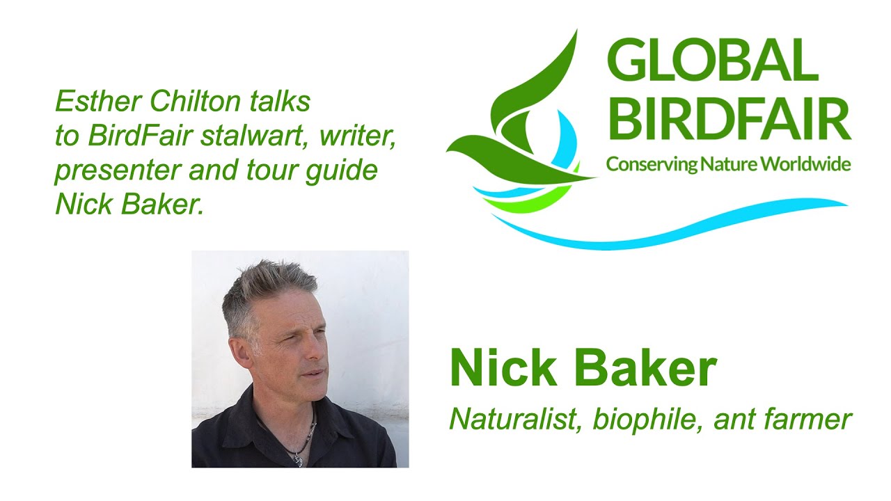 Nick Baker in conversation - YouTube
