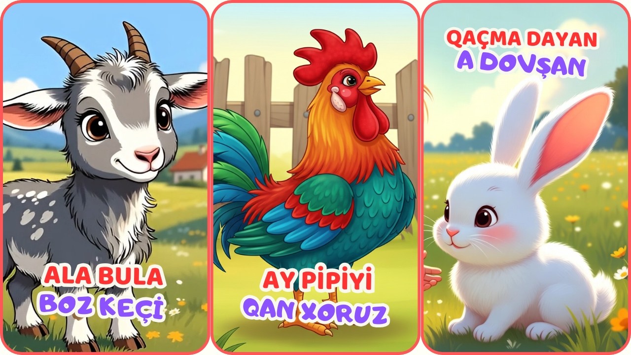 Ay Pipiyi Qan Xoruz 🐓 | Ala-Bula Boz Keçi 🐐 | Qaçma Dayan a Dovşan 🐰 ...