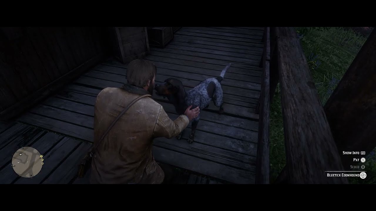 Red Dead Redemption 2 Petting a Dog - YouTube
