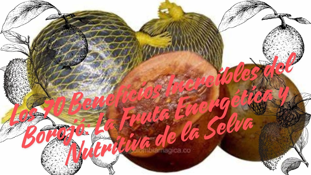 Los 70 Beneficios Increíbles del Borojó: La Fruta Energética y ...
