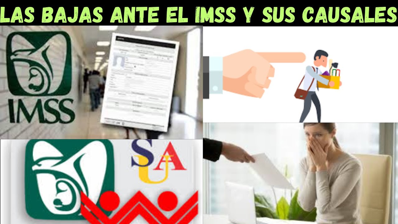 Las bajas ante el IMSS y sus causales - YouTube