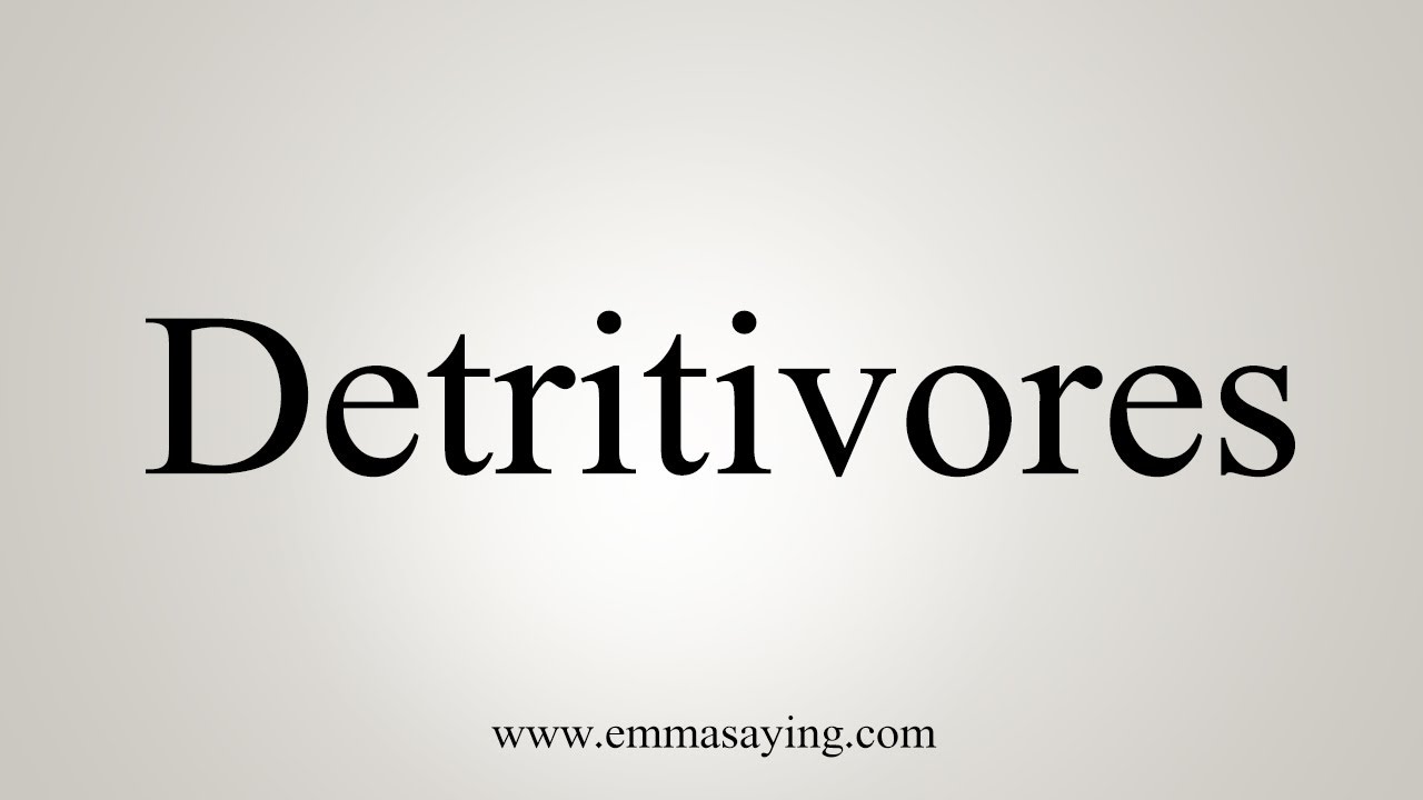 How To Say Detritivores - YouTube