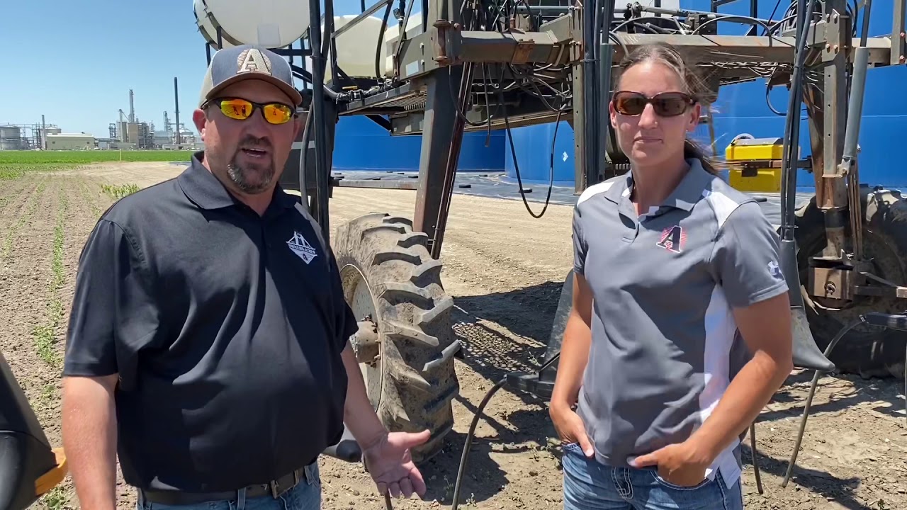 CROP TALK: June 11 Update - YouTube