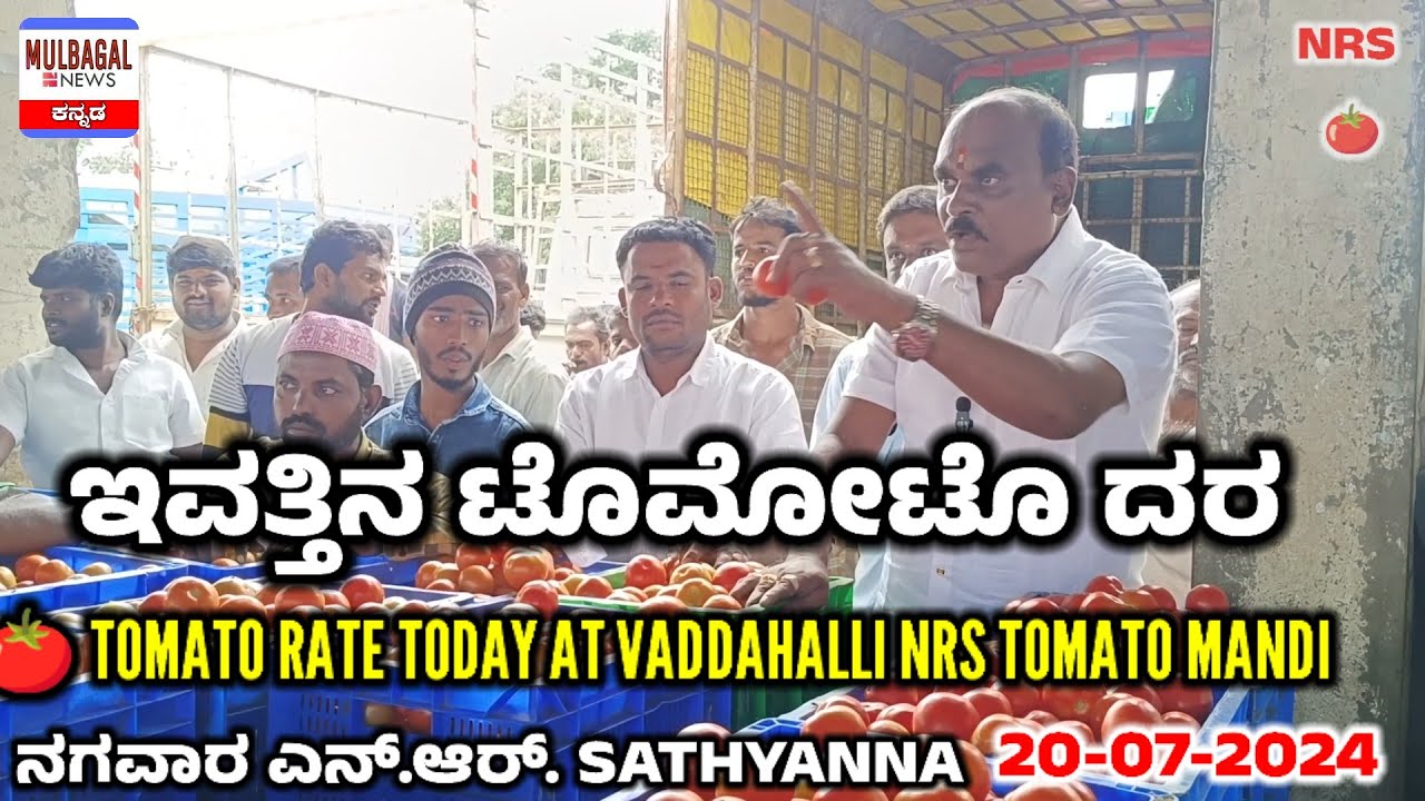 July 20, 2024 TOMATO RATE TODAY AT NRS TOMATO MANDI KARNATAKA ...
