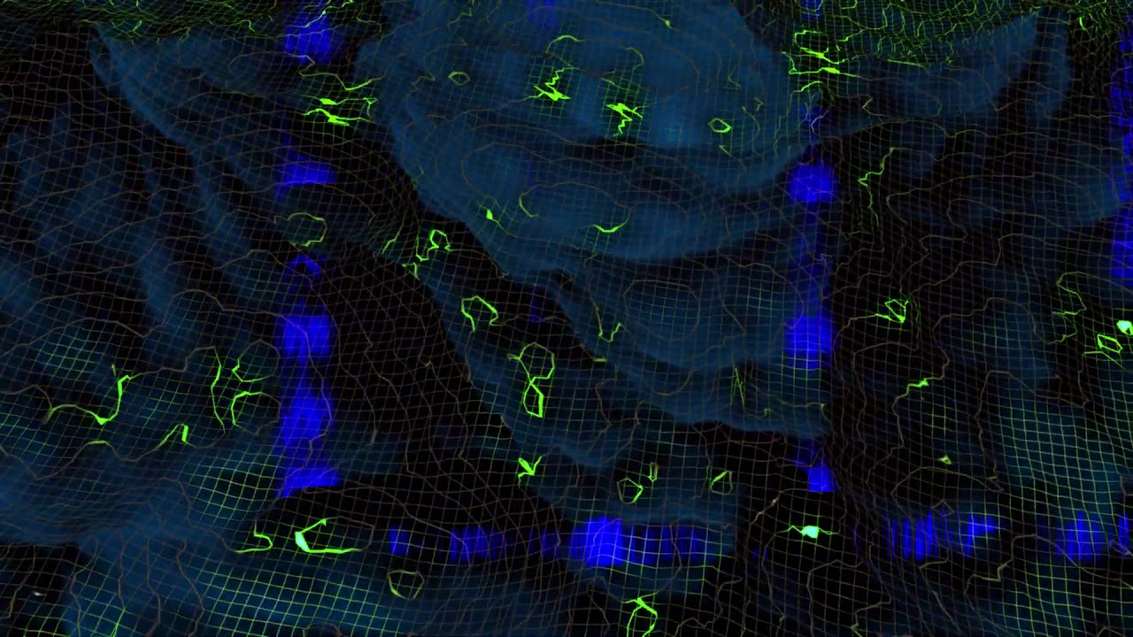 FREE Simple video wall loops footage HD 3D map veins background - YouTube