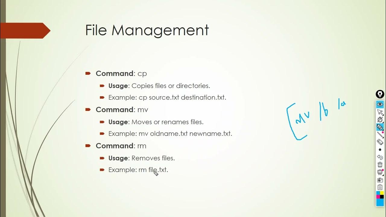 OS lec3 intro to linux part1 - YouTube