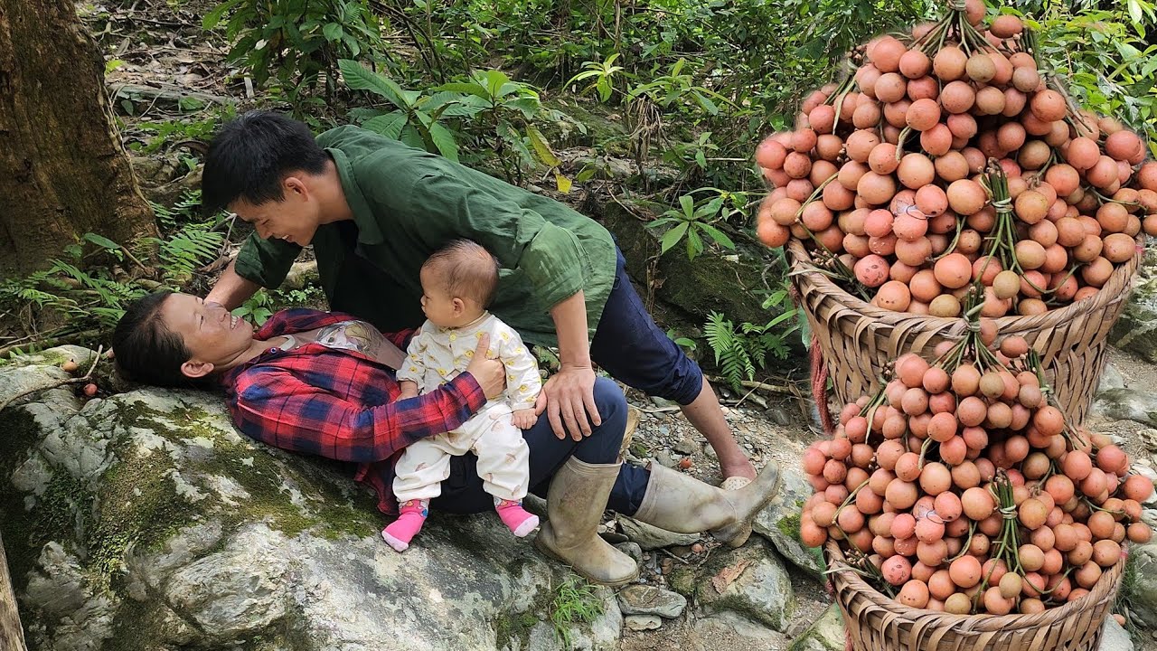Who would have thought that the fruit that changed our lives would be ...