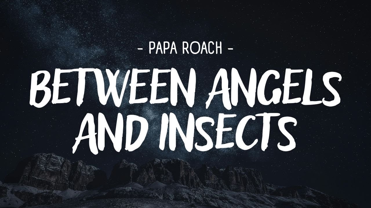 Papa Roach - Between Angels And Insects [Lyrics] - YouTube