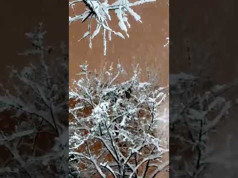 Burhan çaçan beni anneme götürün