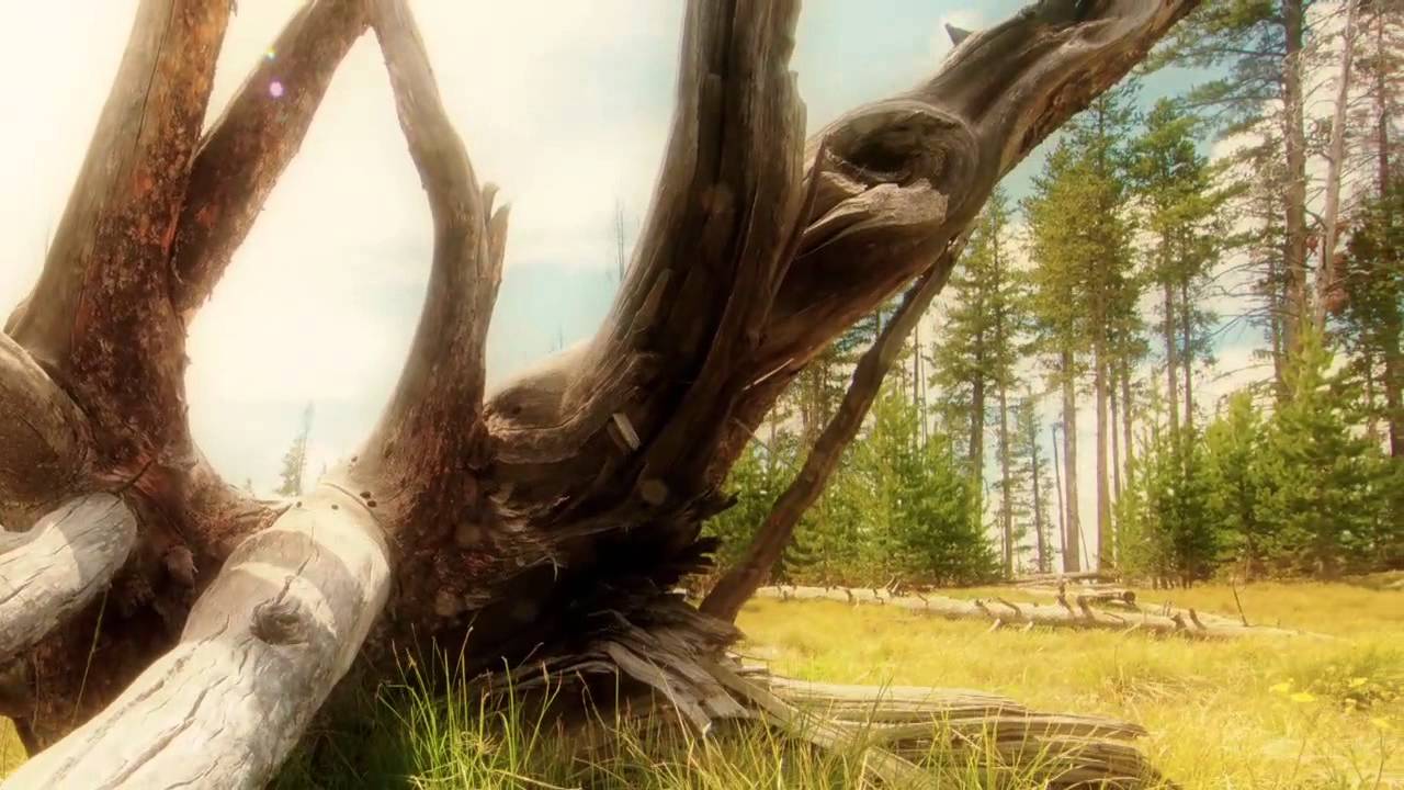 Alex Pitt Time Lapse Reel - YouTube