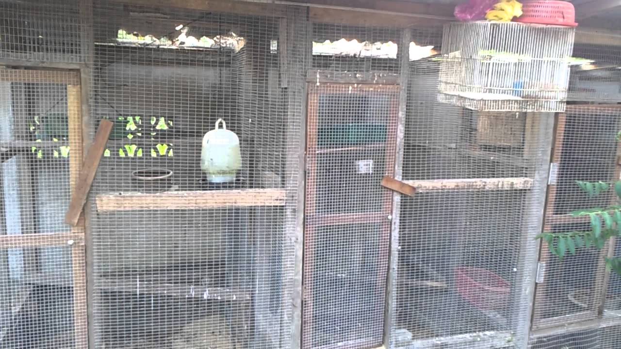 Murai Farm Part 3 - YouTube