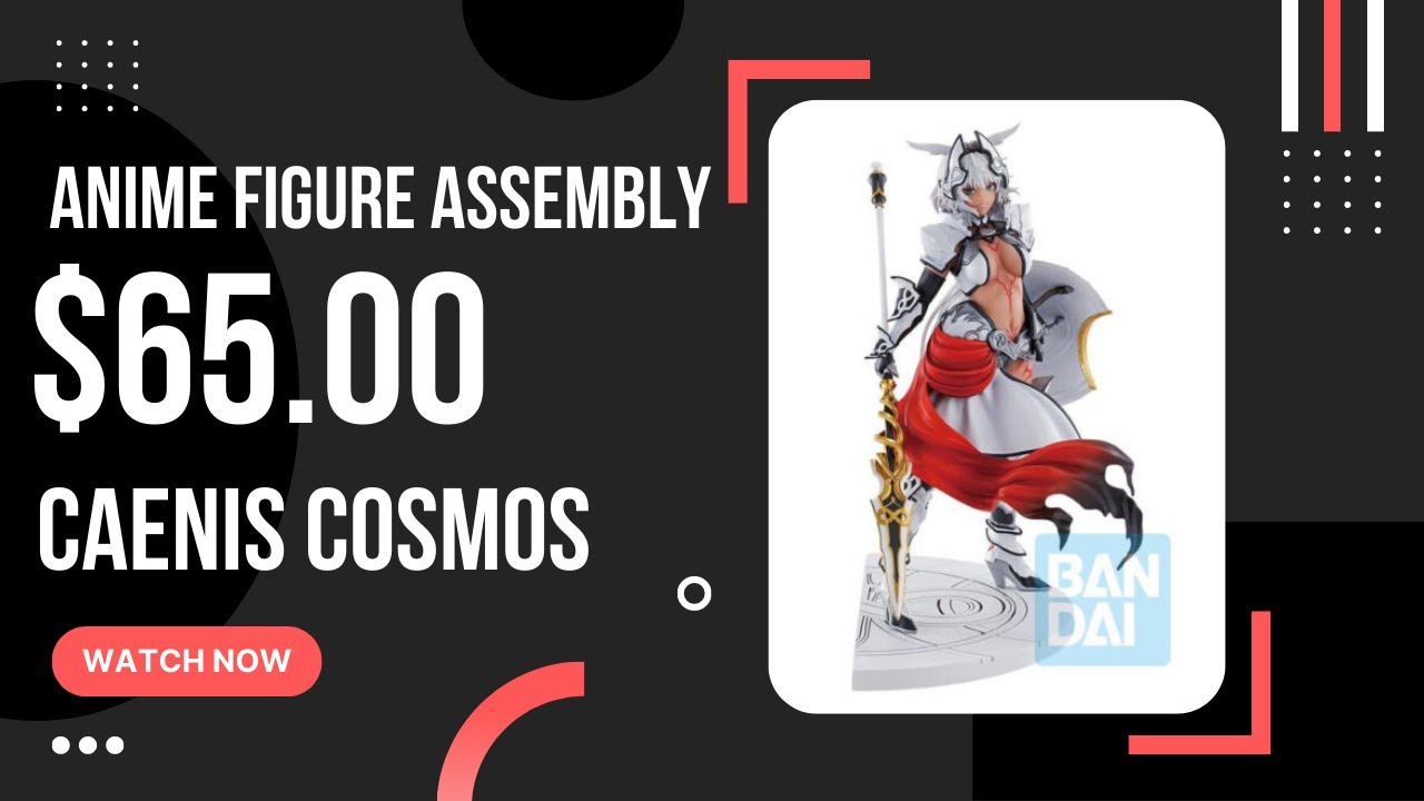 This FGO Caenis Anime Figure Is STUNNING! - YouTube