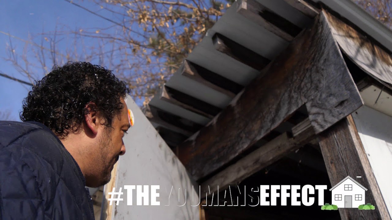 The.YOUMANS.effect - YouTube