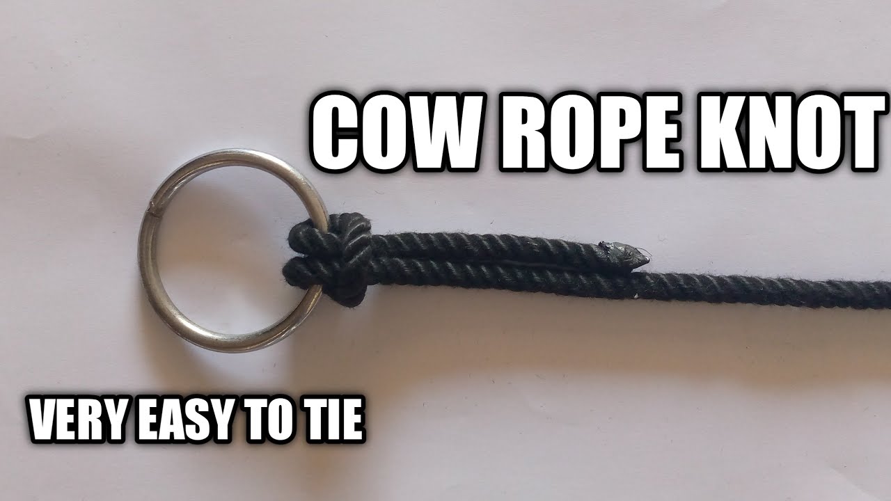 How to tie you a cow rope knot very practical and simple | premium knot ...